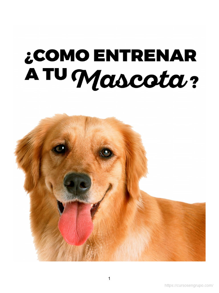 Reporte - Como Entrenar A Tu Mascota | PDF | Perros | Correa