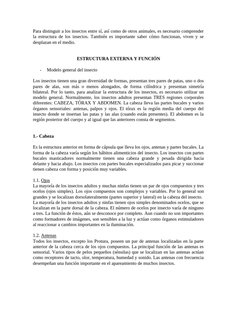 Estructura y función de los insectos | PDF | Insectos | Larva