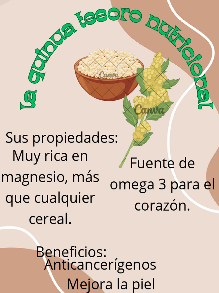 Grupo 2 La Quinua | PDF