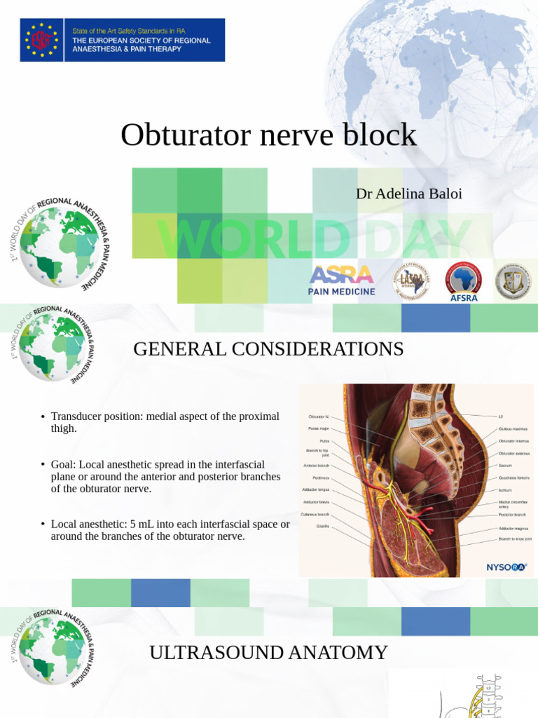 Obturator Nerve Block Technique Guide | PDF | Musculoskeletal System ...