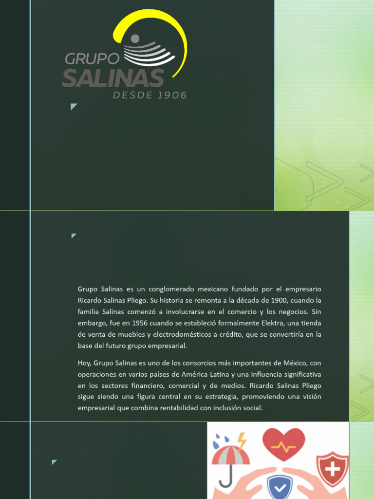Misión de Grupo Salinas en Seguros | PDF