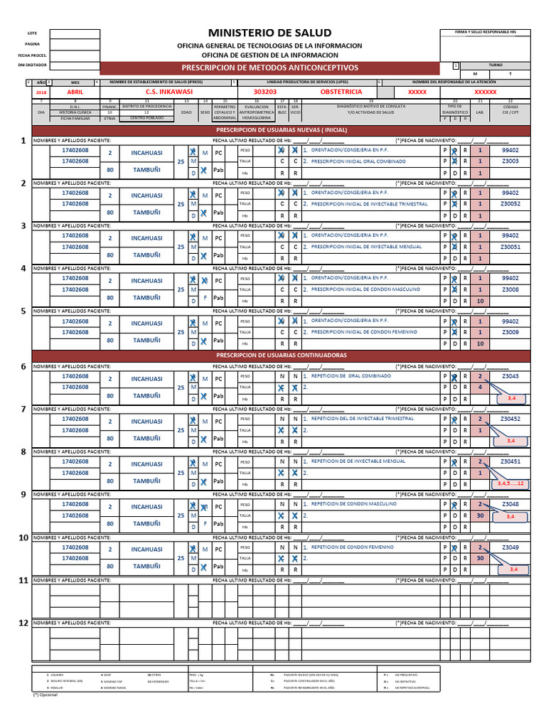 Modelo de Registro His Minsa Planificacion | PDF