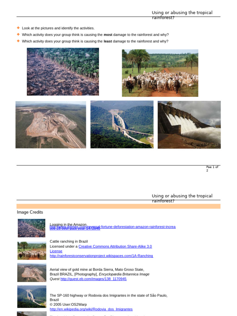 00a SUMMATIVE ASSESSMENT - Using or Abusing The Tropical Rainforest ...