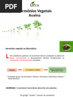 Fisiologia Vegetal - Hormônios Vegetais (Auxinas) | PDF | Auxinas | Hormônio vegetal