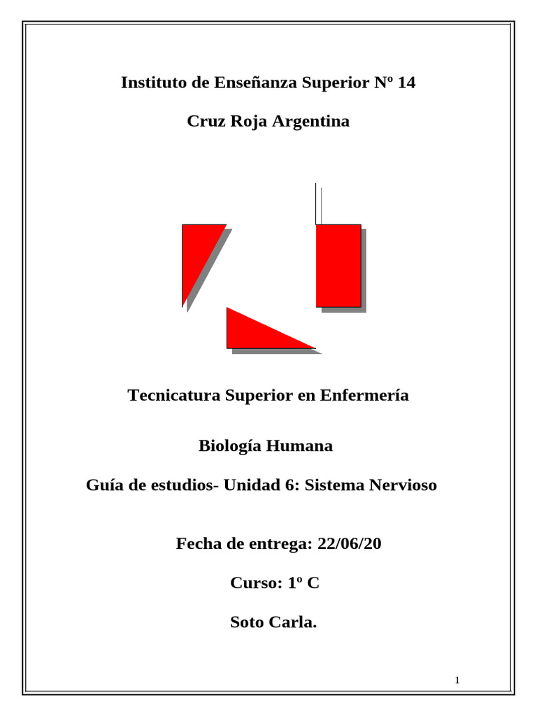 Trabajo Practico Biologia Humana U. 6 | PDF | Médula espinal | Nervio