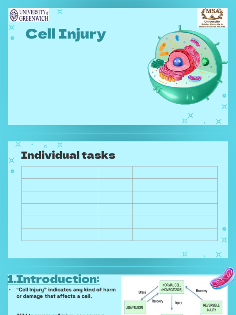 Cell Injury: Mechanisms and Types | PDF | Necrosis | Medical Specialties