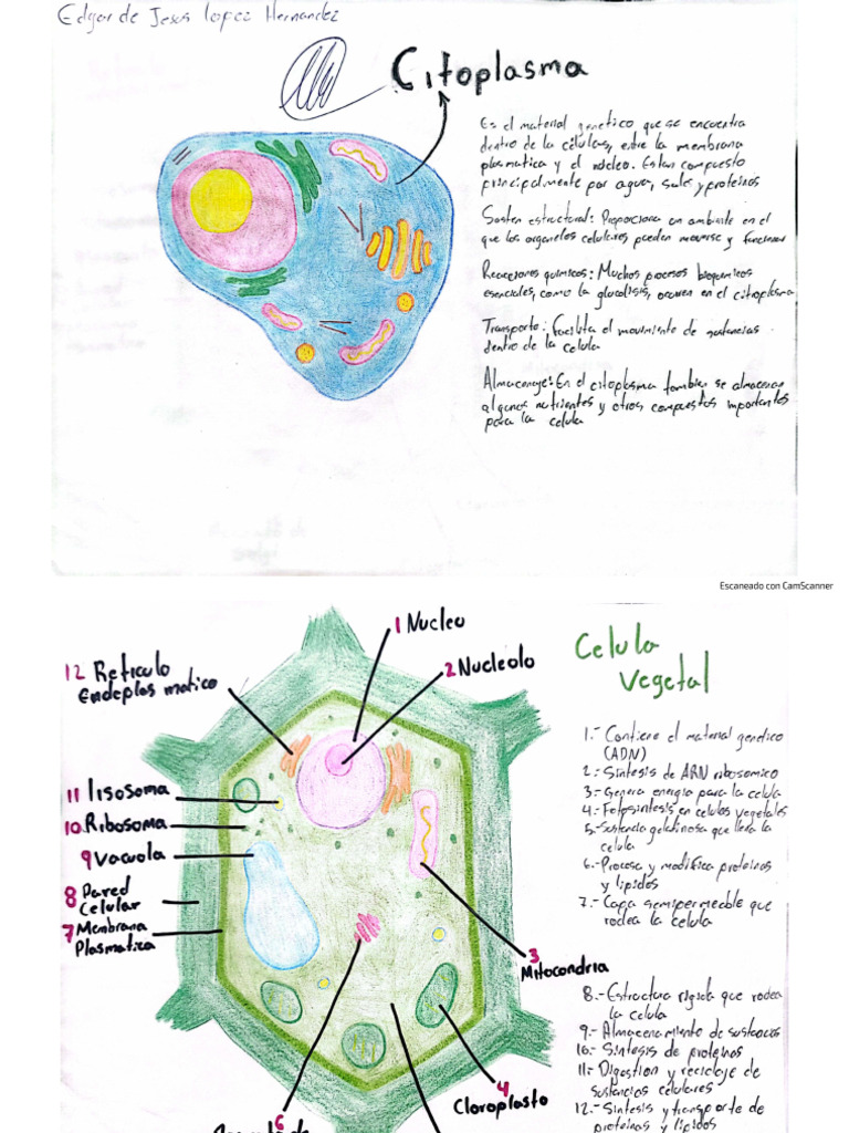 Edgar de Jesus Lopez Hernadez | PDF