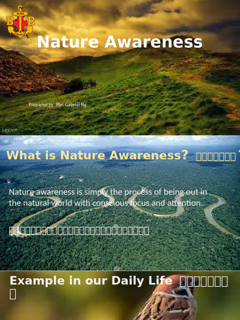 Nature Awareness Gab2020 | PDF | Natural Environment | Nature