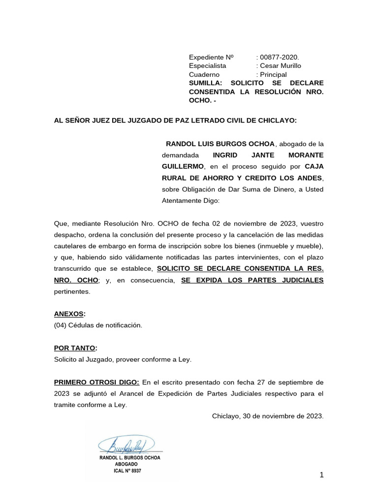 Solicito Se Declare Consentida La Res. Nro. Siete - Pasache | PDF