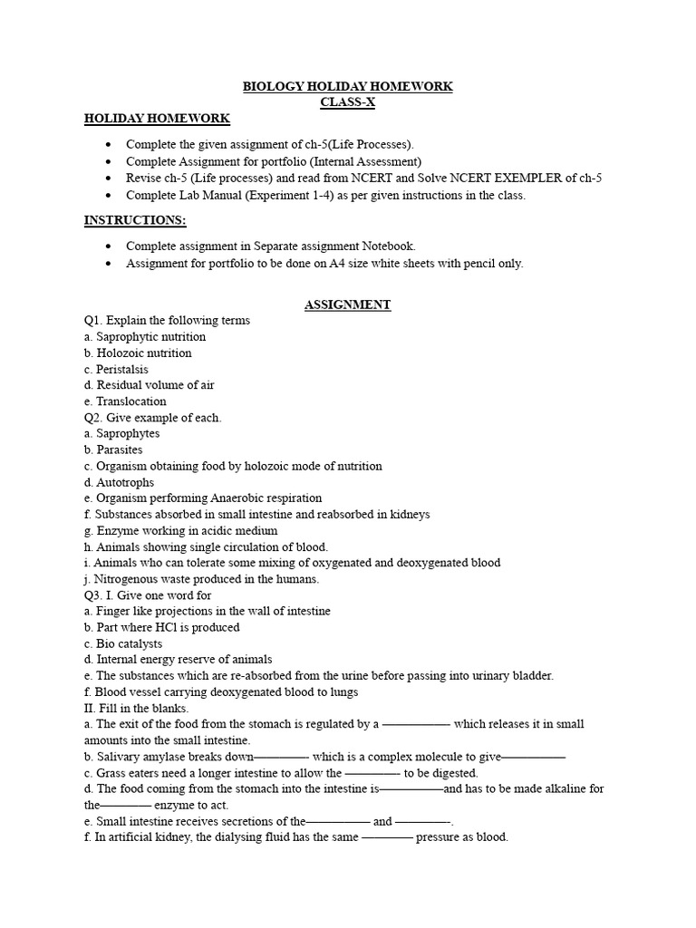 Biology Holiday Homework Class X | PDF | Digestion | Blood