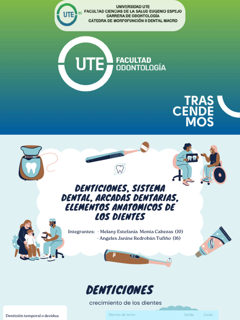 Denticiones, Sistema Dental, Arcadas Dentarias, Elementos Anatomicos de ...