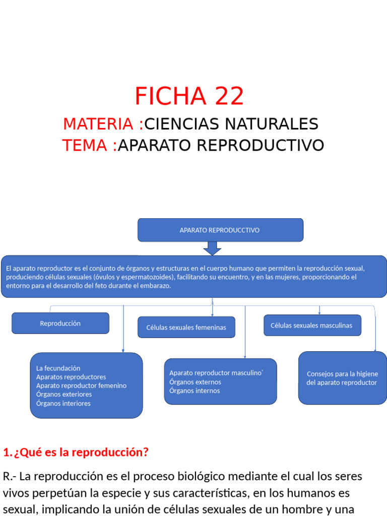 Ficha 22 Aparato Reproductivo | PDF | Sistema reproductivo | Sexo