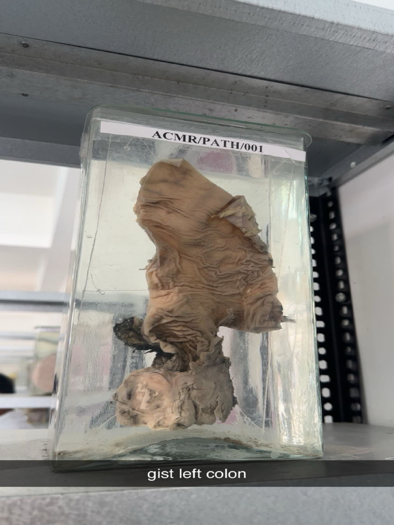 Museum Pathology | PDF