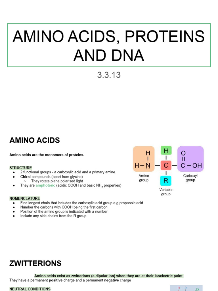 31) Amino Acids, Proteins and Dna | PDF | Acid | Amino Acid