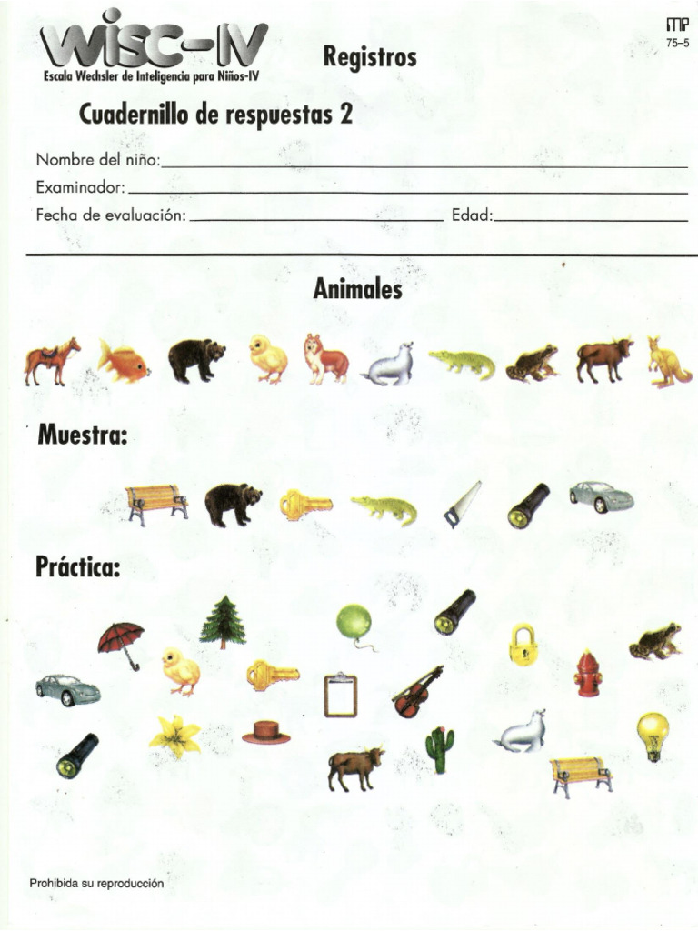 Protocolo - wisc-IV (Prueba Registros) | PDF
