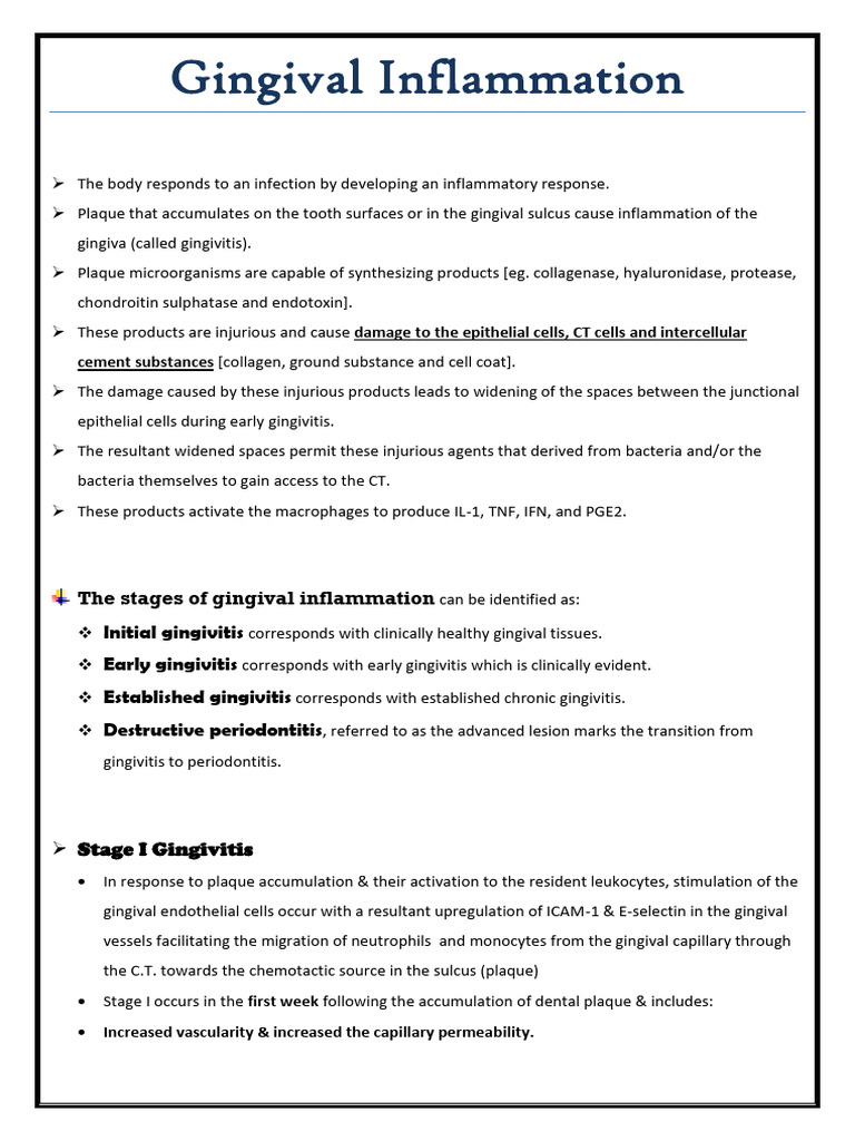 1 - Gingival Inflammation | PDF | Inflammation | Macrophage