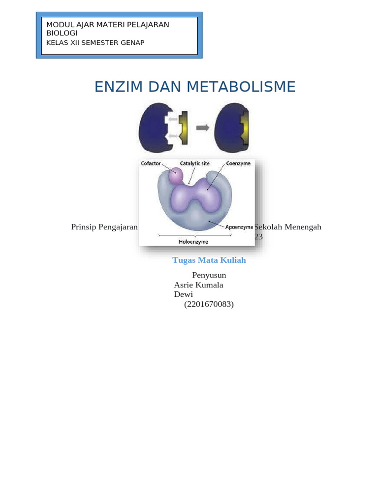 Modul Enzim Dan Metabolisme Kurikulum Me | PDF