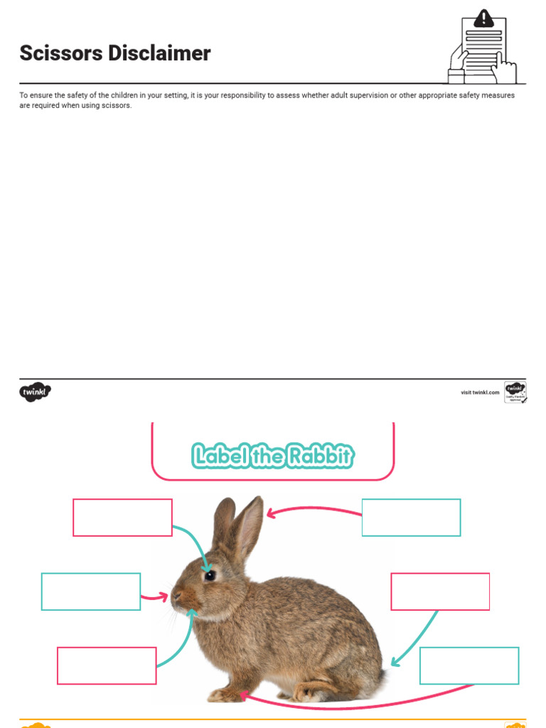 Kindergarten Label The Rabbit Activity | PDF