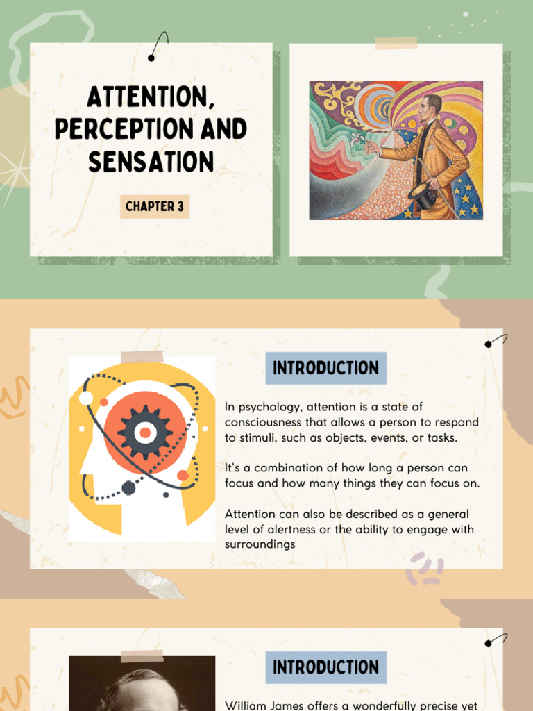 Attention, Perception and Sensation | PDF | Senses | Perception
