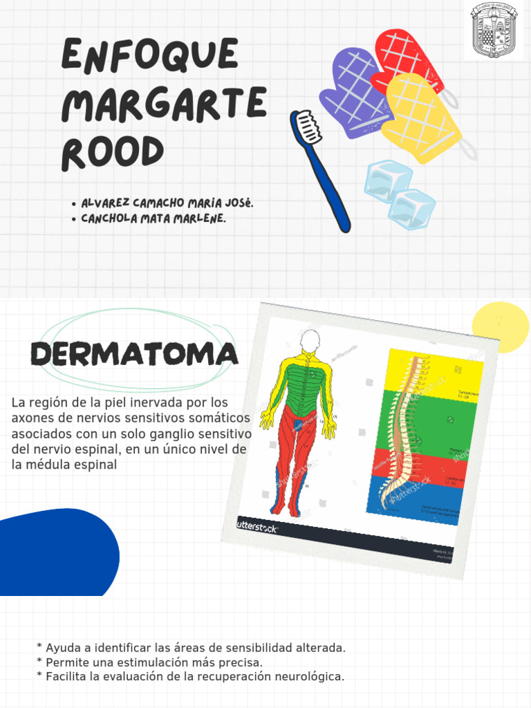 Enfoque Margarte Rood | PDF | Nervio | Sistema nervioso