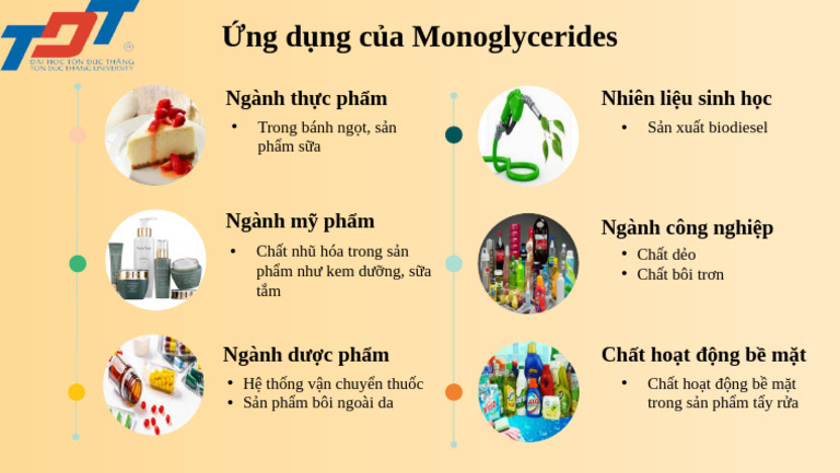 NG D NG C A Monoglycerides | PDF