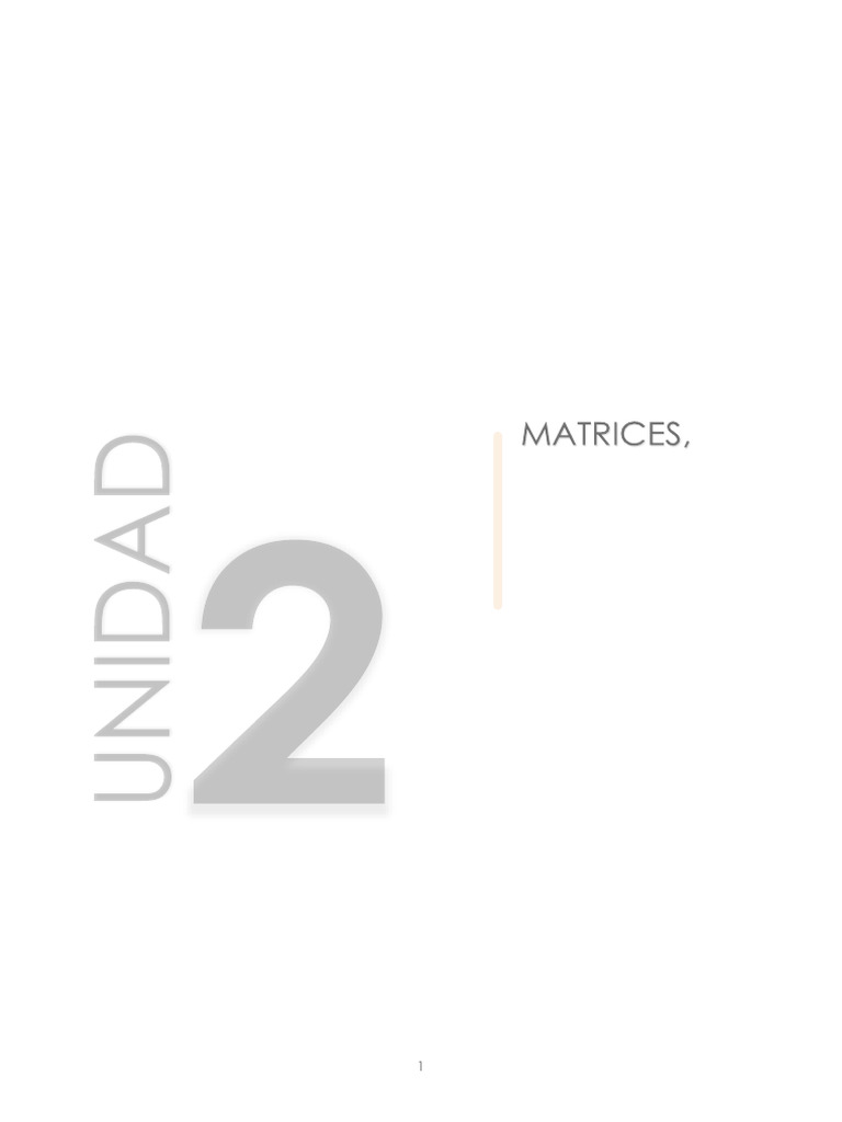 Matrices 2025 | PDF | Matriz (Matemáticas) | Multiplicación