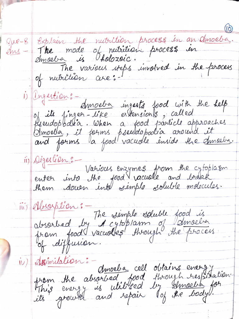 Notes III Life Processes | PDF