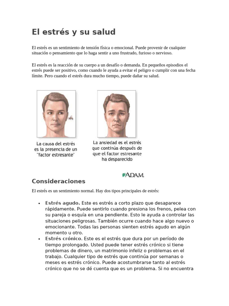 Estrés: Causas y Síntomas en la Salud | PDF | Estrés (biología ...