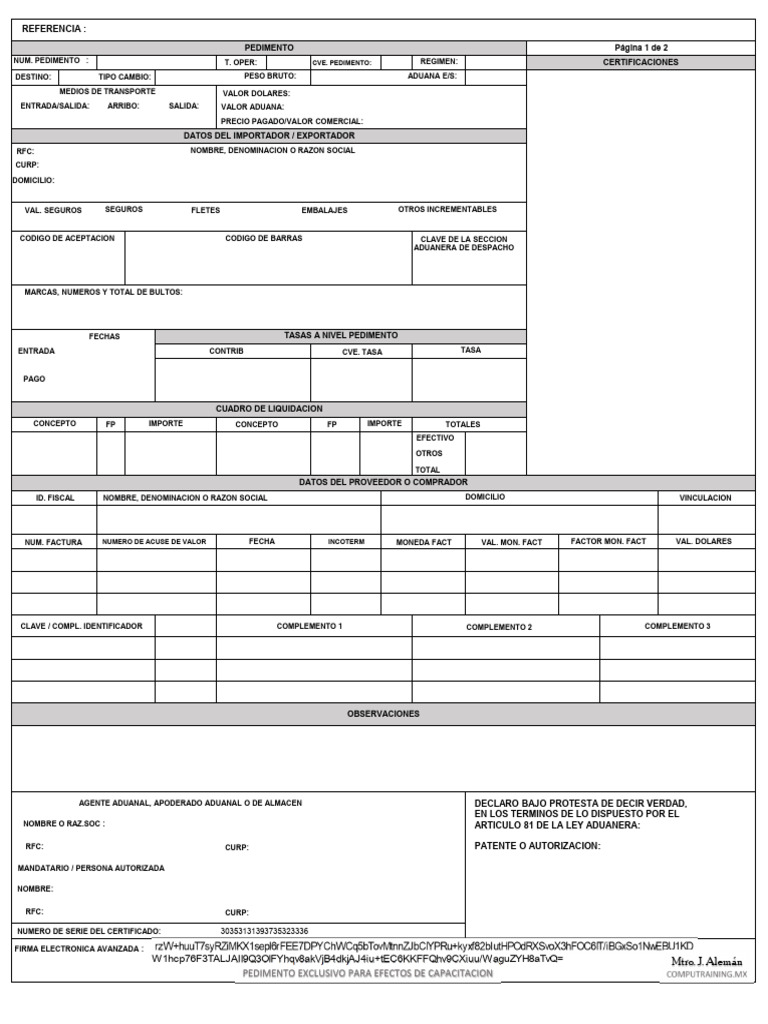 2025 - Formato Pedimento - Practicas | PDF | aduana | Economias
