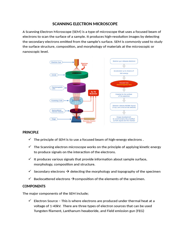 Scanning Electron Microscope Overview | PDF | Scanning Electron ...