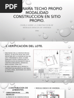 Formato de Liberación de Colado | PDF | Derecho | Ciencia y matemáticas