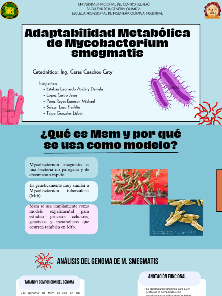 Micobacterium Smegmatis Pdf Metabolismo Nutrientes