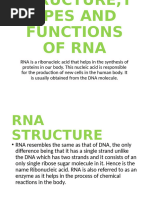 DNA vs. RNA and Protein Synthesis | PDF | Translation (Biology) | Rna