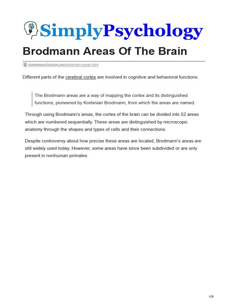 Brodmann Areas of The Brain | PDF | Cerebral Cortex | Visual Cortex