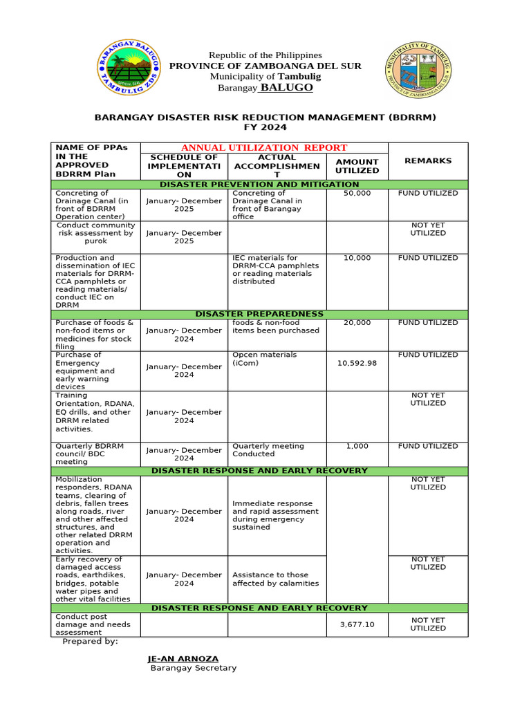 BDRRM Annual Fund Utilization Report | PDF | Emergency Management | Storms