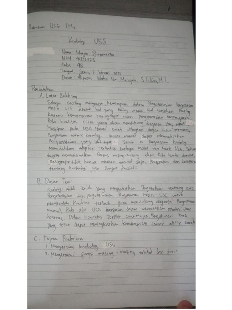 Laprak Usg Tm2 | PDF