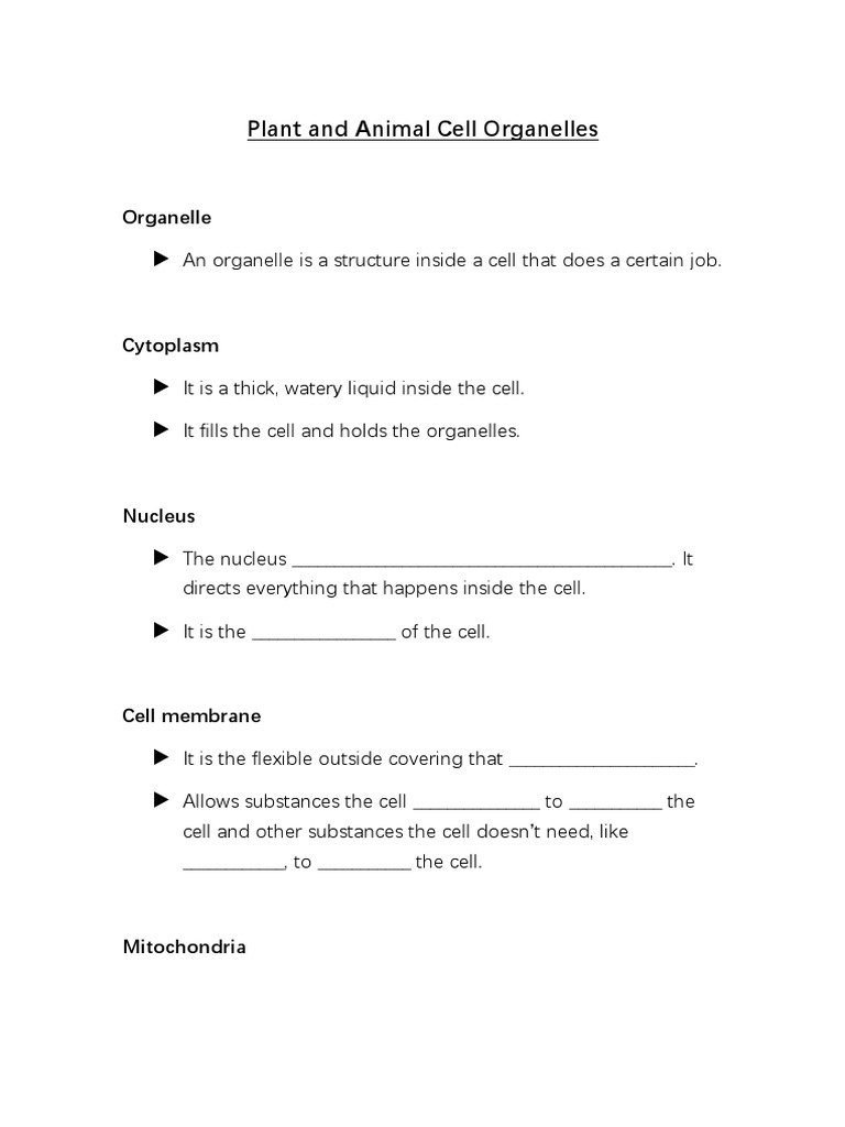 Cell Organelles: Functions and Types | PDF