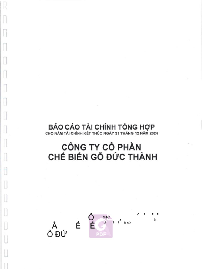 Gdt Bctc 2024 Cong Ty Me Tiengviet Signed | PDF