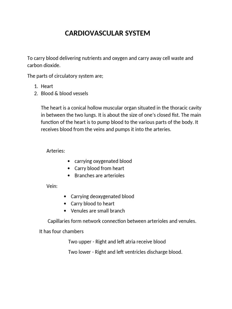 3 Cardiovascular System 3 | PDF | Heart | Heart Valve