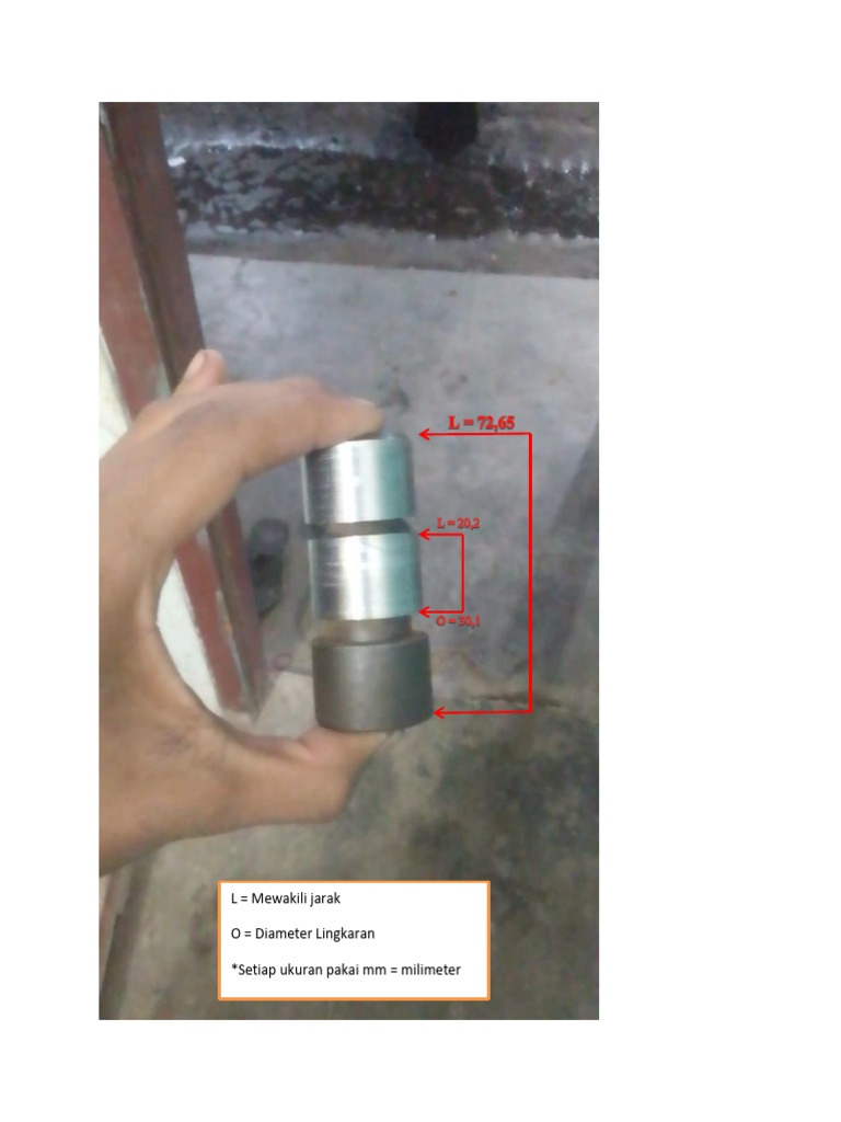 Foto Ukuran Pin | PDF