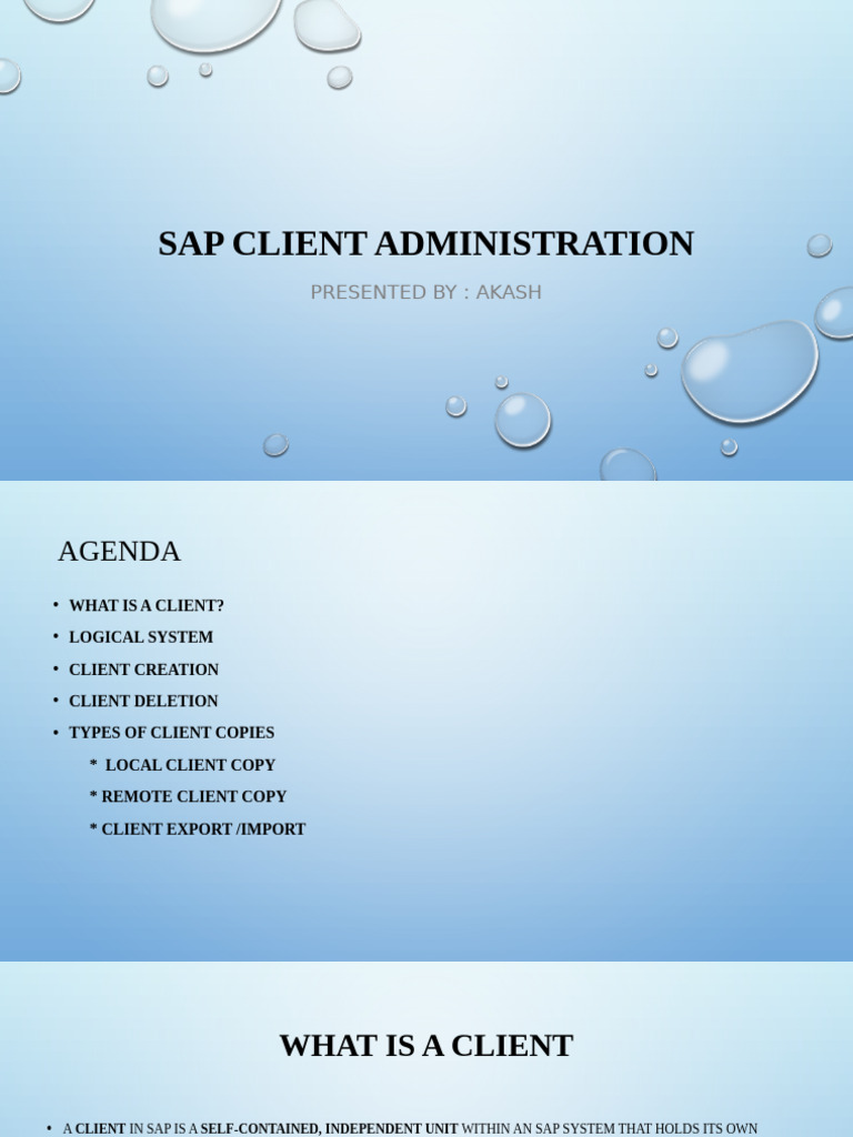 SAP Client Administration | PDF | Computer Engineering | System Software
