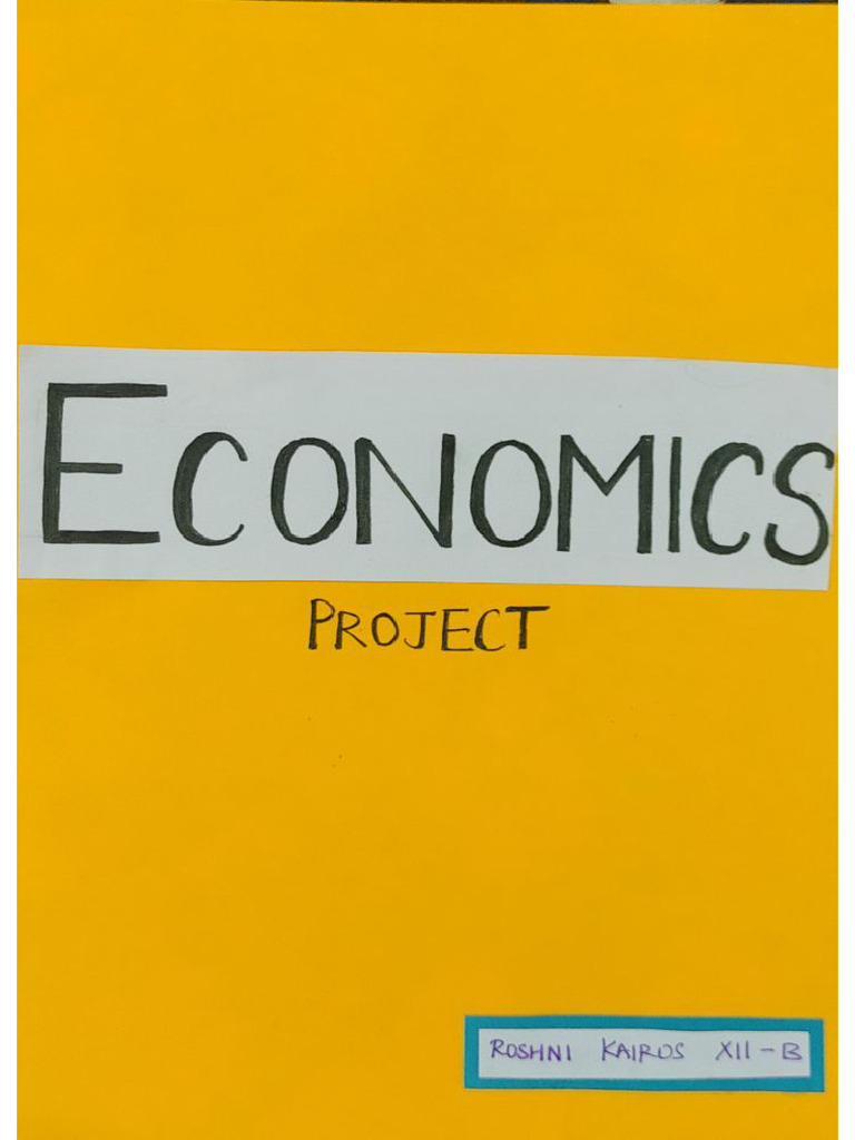 Roshni 12-B (Economics Project) | PDF