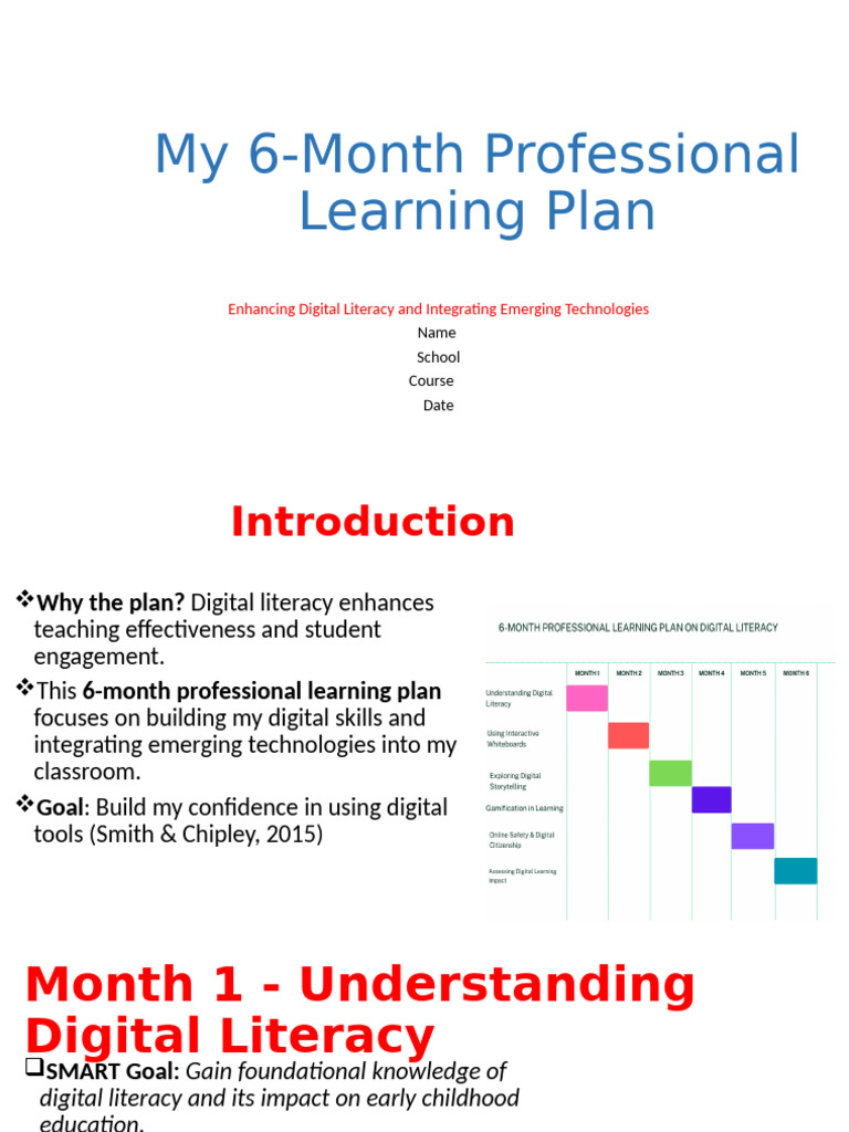 Professional Learning Plan Revised | PDF | Teachers | Learning