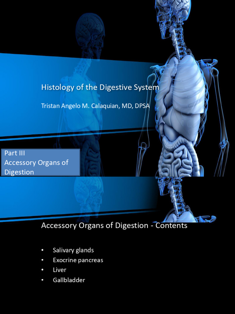 7SlOn1-Histology of The Digestive System Part III - Accessory Organs of ...
