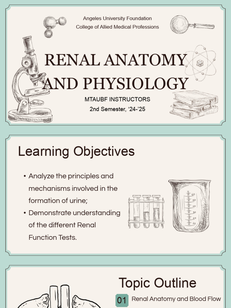 (HANDOUT) Renal Anatomy and Physiology | PDF | Kidney | Urinary System