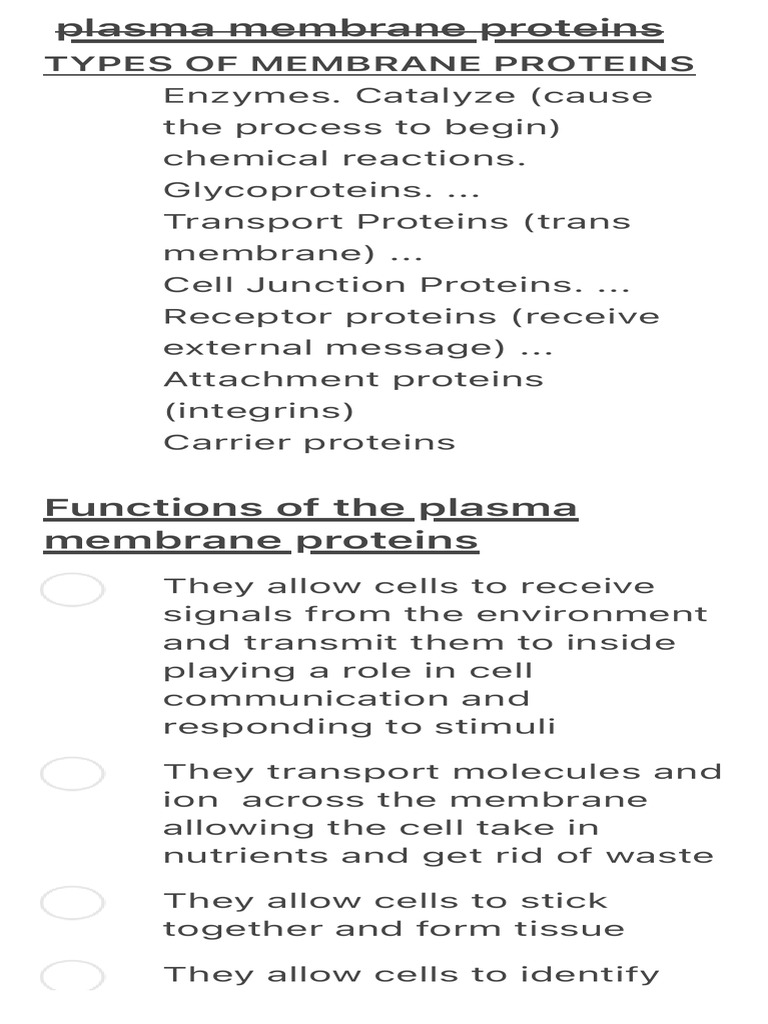 Plasma Membrane Proteins | PDF