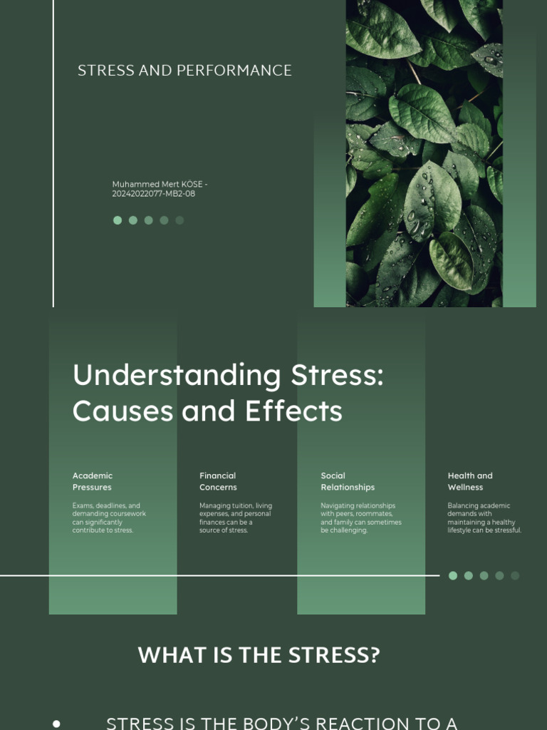 Stress and Performance | PDF