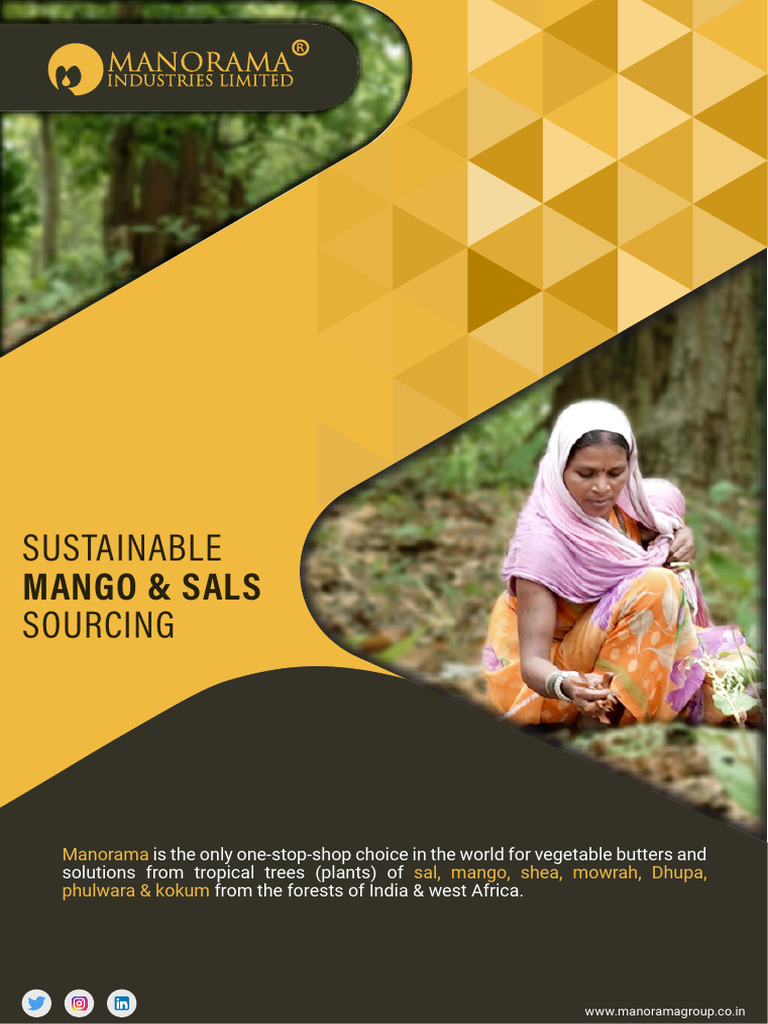 Sustainable Sourcing of Mango & Sal Products | PDF | Supply Chain | Mango