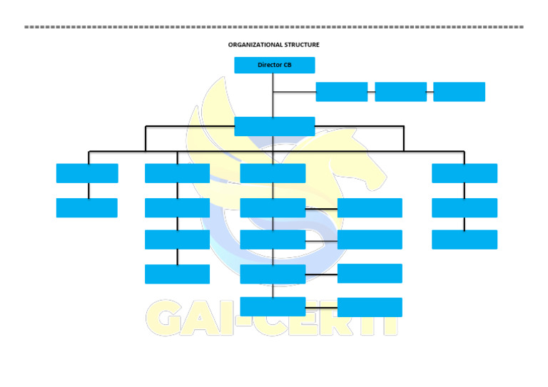 Organizational Structure Overview | PDF