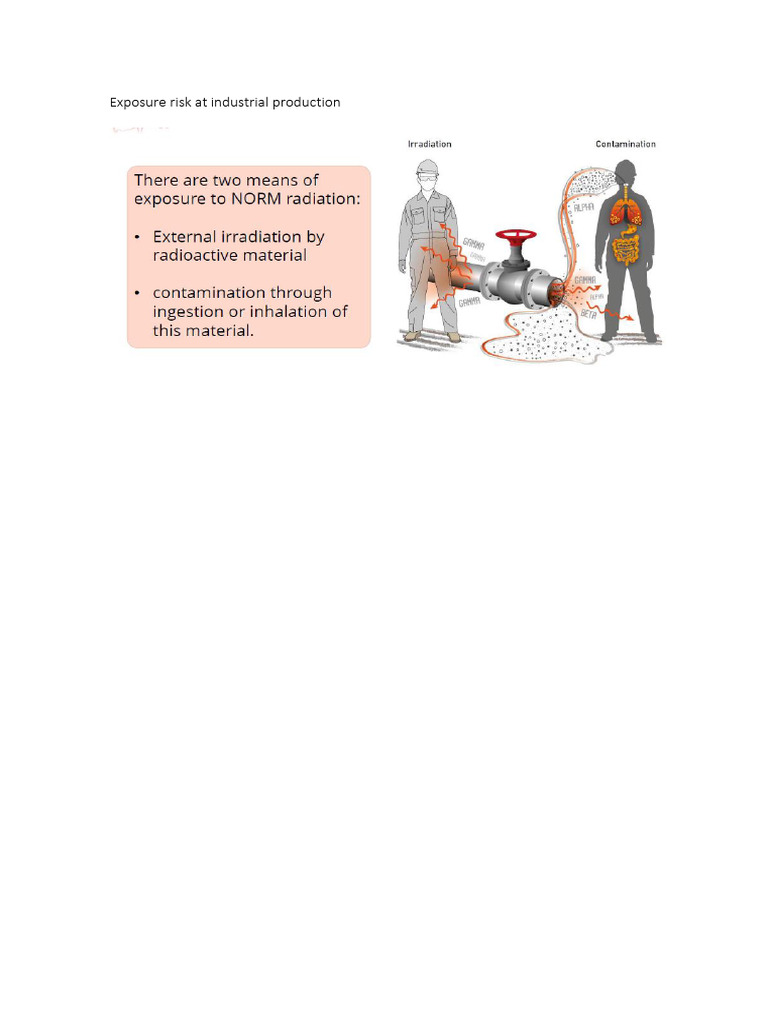 Exposure Risk at Industrial Production | PDF